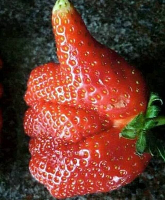 35 Photos Of The Most Cursed Looking Food | DeMilked