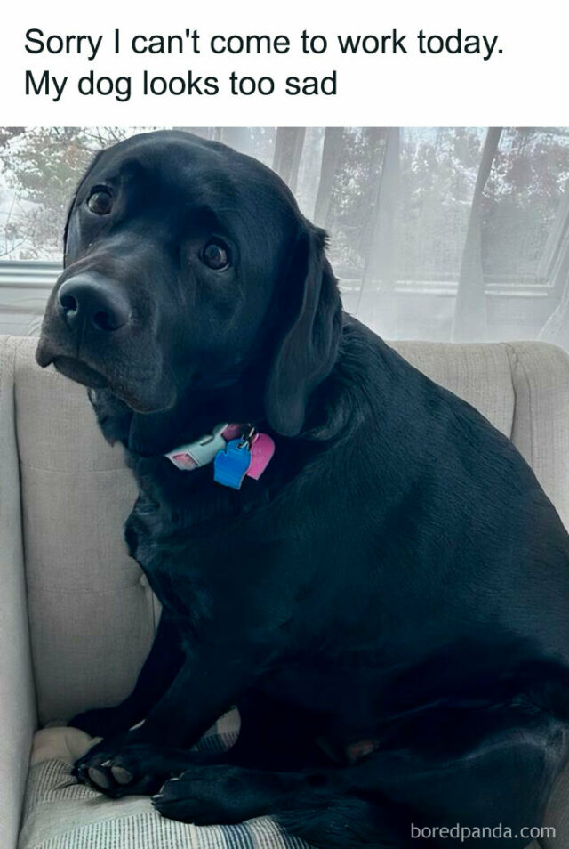 ‘Work Meme Of The Day’: 35 Funny Memes For When You’re Barely Getting ...