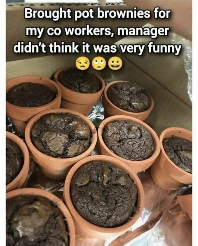 ‘Work Meme Of The Day’: 35 Funny Memes For When You’re Barely Getting ...