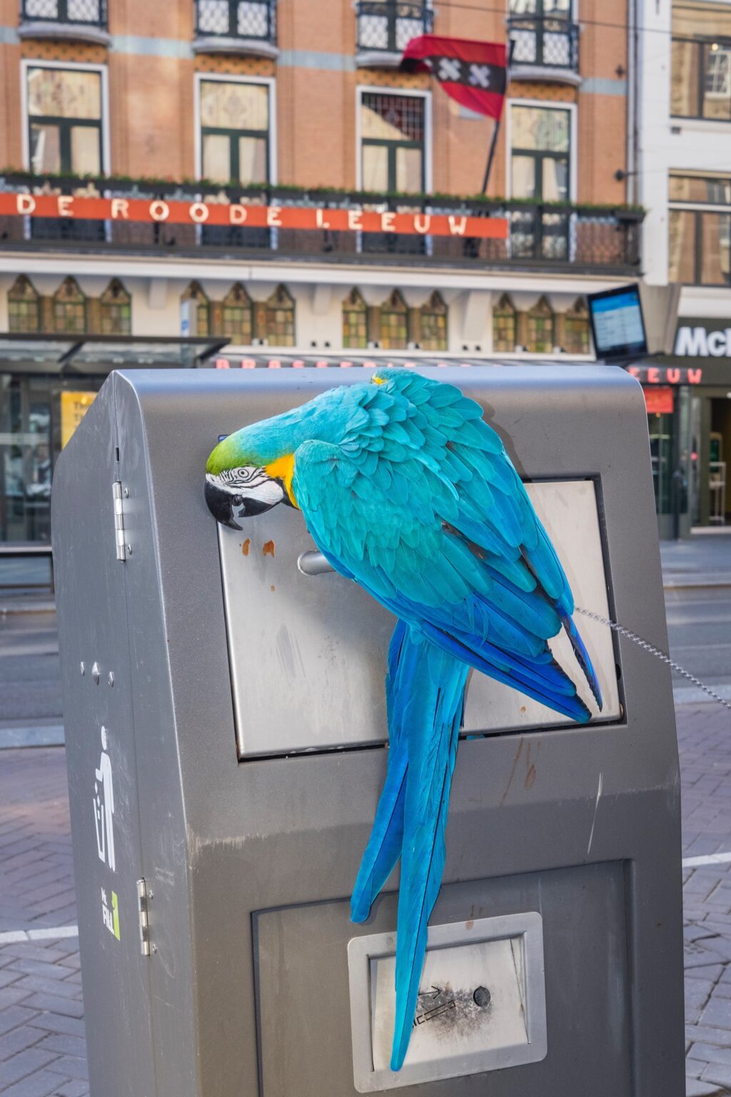 23 Absurd, Surreal Or Funny Coincidences Captured By Photographer Julie ...