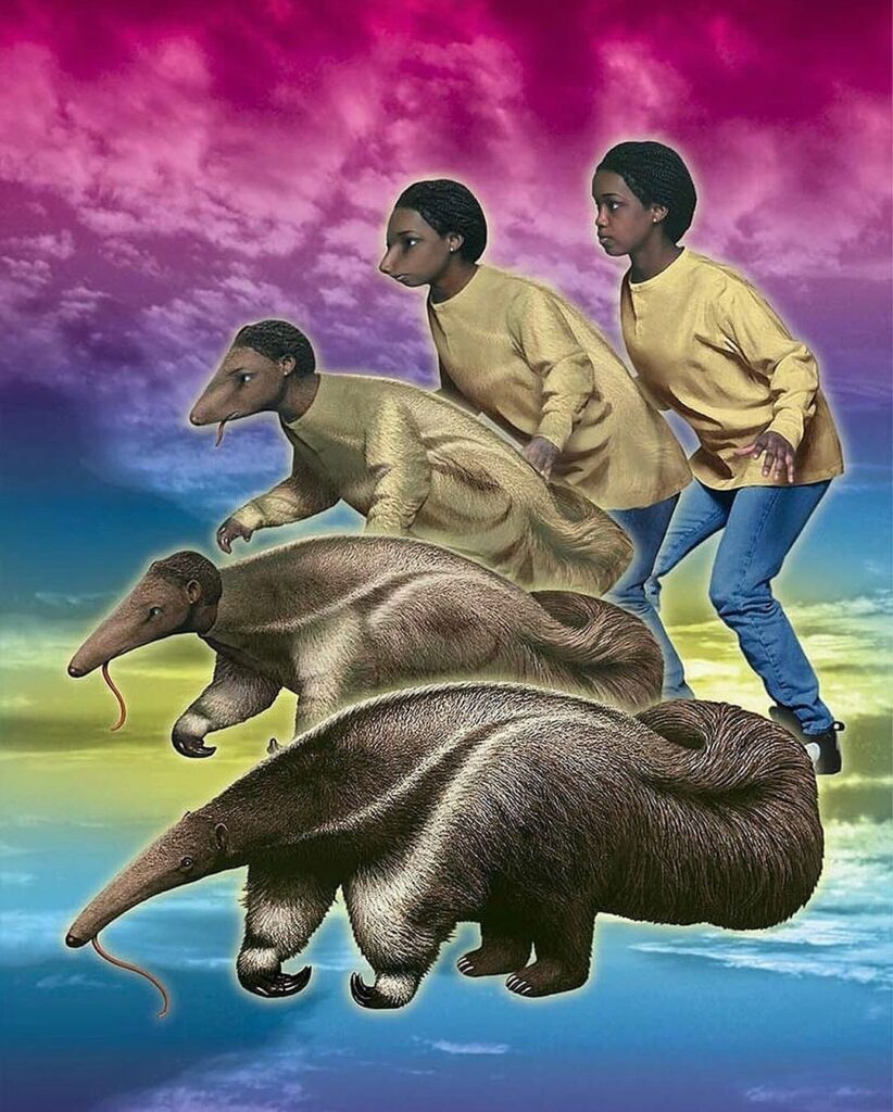 20 Unforgettable “Animorphs" Book Cover Designs From The 90s By David ...