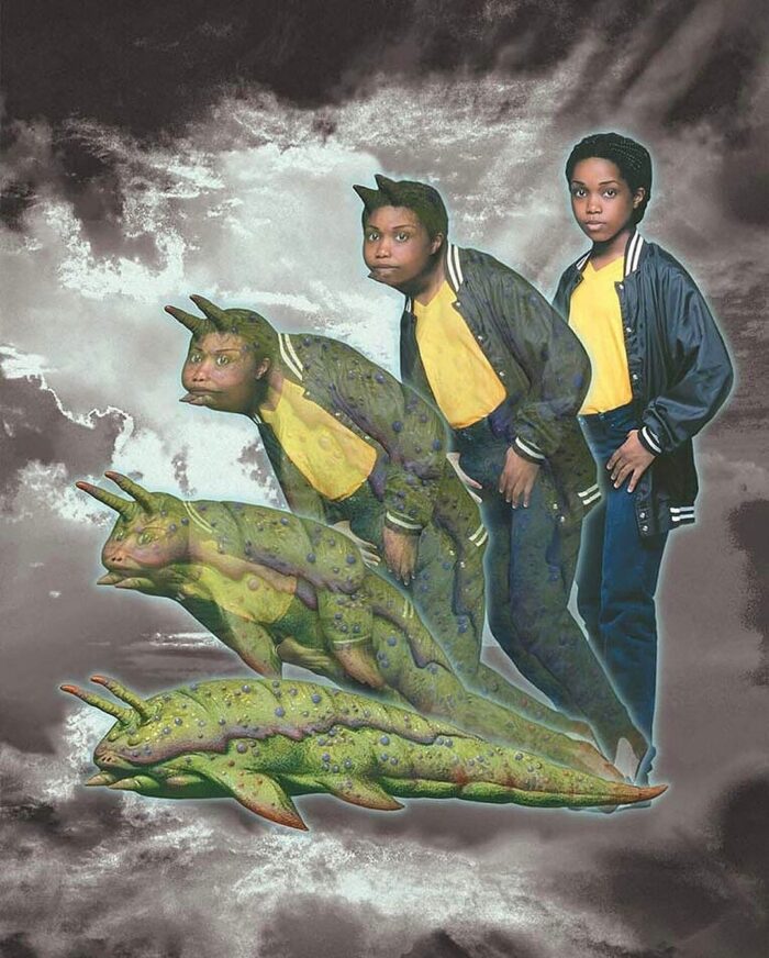 20 Unforgettable “Animorphs" Book Cover Designs From The 90s By David ...