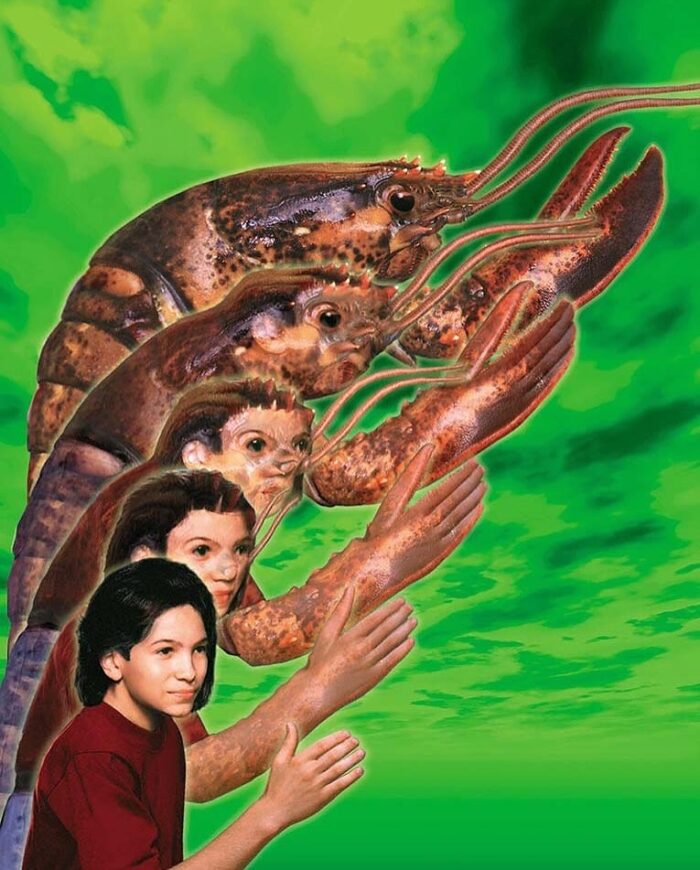 20 Unforgettable “Animorphs" Book Cover Designs From The 90s By David ...