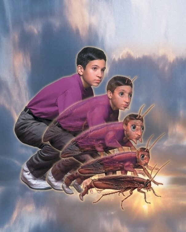 20 Unforgettable “Animorphs" Book Cover Designs From The 90s By David ...