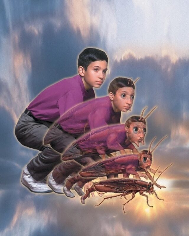 20 Unforgettable “Animorphs" Book Cover Designs From The 90s By David ...