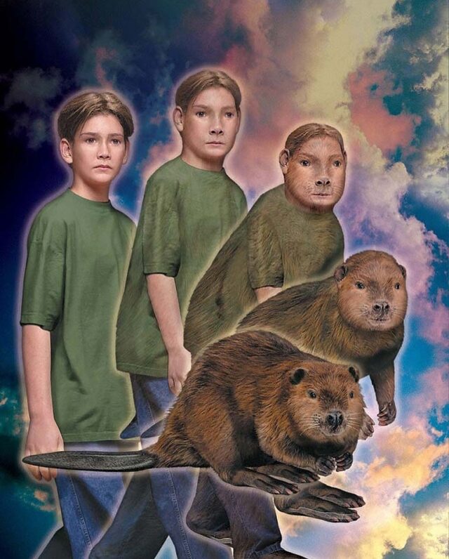 20 Unforgettable “Animorphs" Book Cover Designs From The 90s By David ...