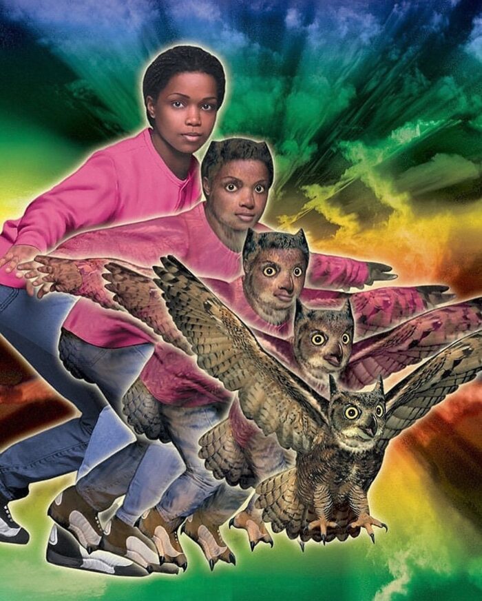 20 Unforgettable “Animorphs" Book Cover Designs From The 90s By David ...