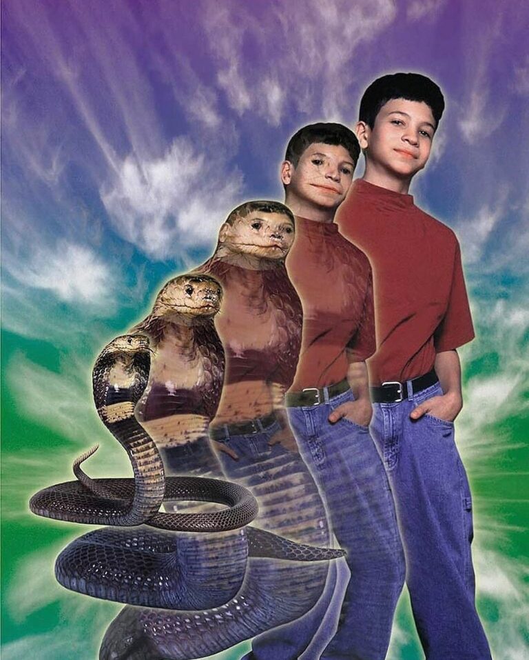 20 Unforgettable “Animorphs" Book Cover Designs From The 90s By David ...