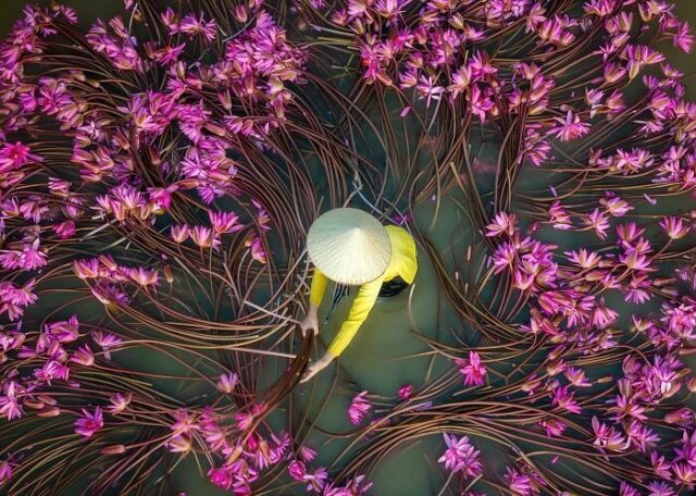 20 Incredible Shots By Zay Yar Lin That Reveal Asia’s Heart And Spirit ...