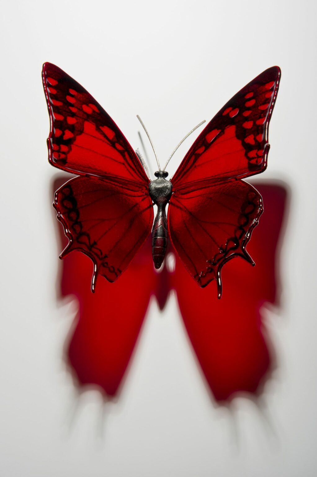 20 Elegant Glass Butterflies And Orchids By Laura Hart That Pay Tribute ...