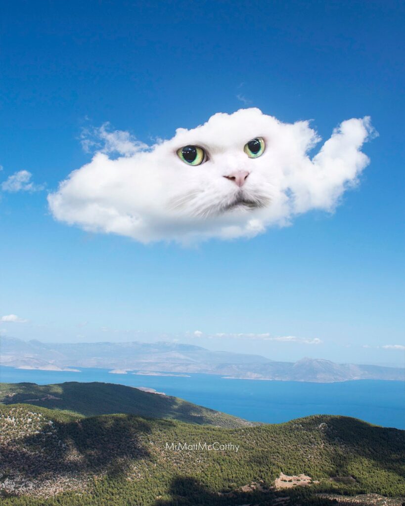 20 Surreal Cat Artworks By Matt McCarthy That Look Straight Out Of A ...