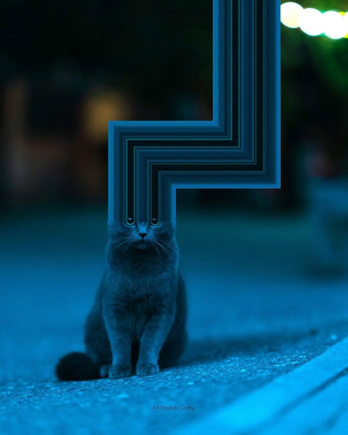 20 Surreal Cat Artworks By Matt McCarthy That Look Straight Out Of A ...