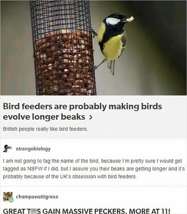 “If I Swallow Magnets, Will I Become Attractive?”: 35 Funny Science ...