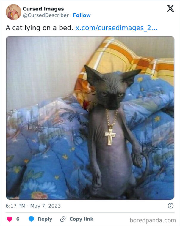 35 Cursed Images With Even More Cursed AI Captions | DeMilked