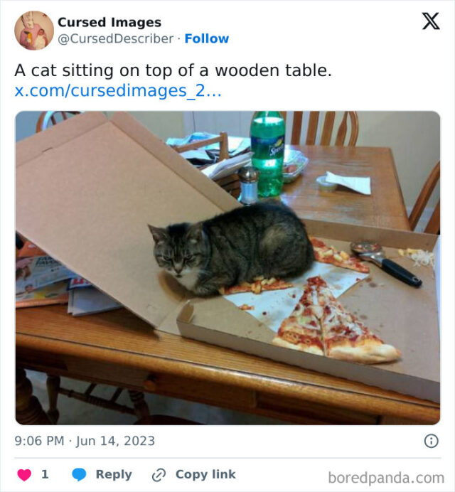 35 Cursed Images With Even More Cursed AI Captions | DeMilked