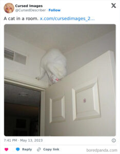 35 Cursed Images With Even More Cursed AI Captions | DeMilked