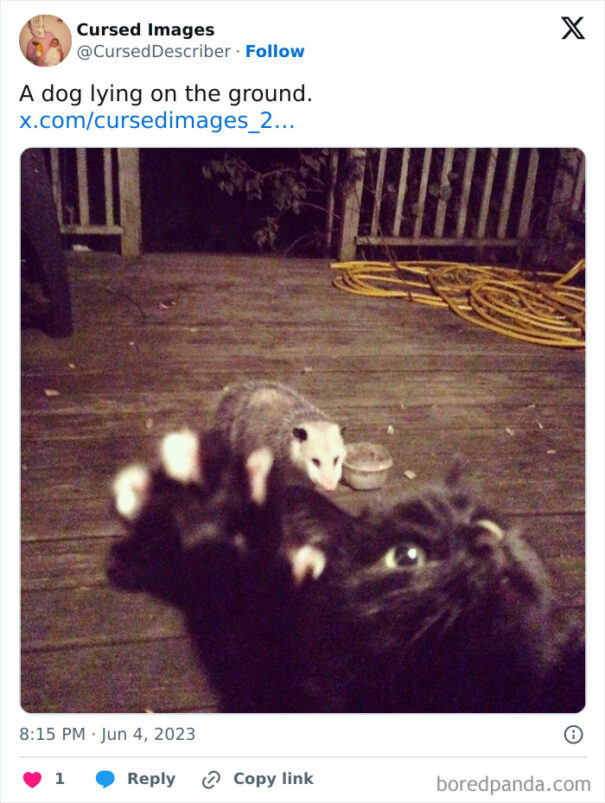35 Cursed Images With Even More Cursed AI Captions | DeMilked