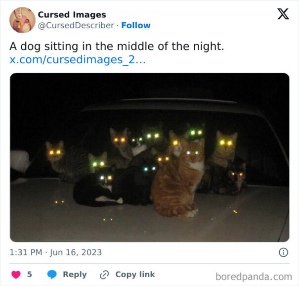 35 Cursed Images With Even More Cursed AI Captions | DeMilked