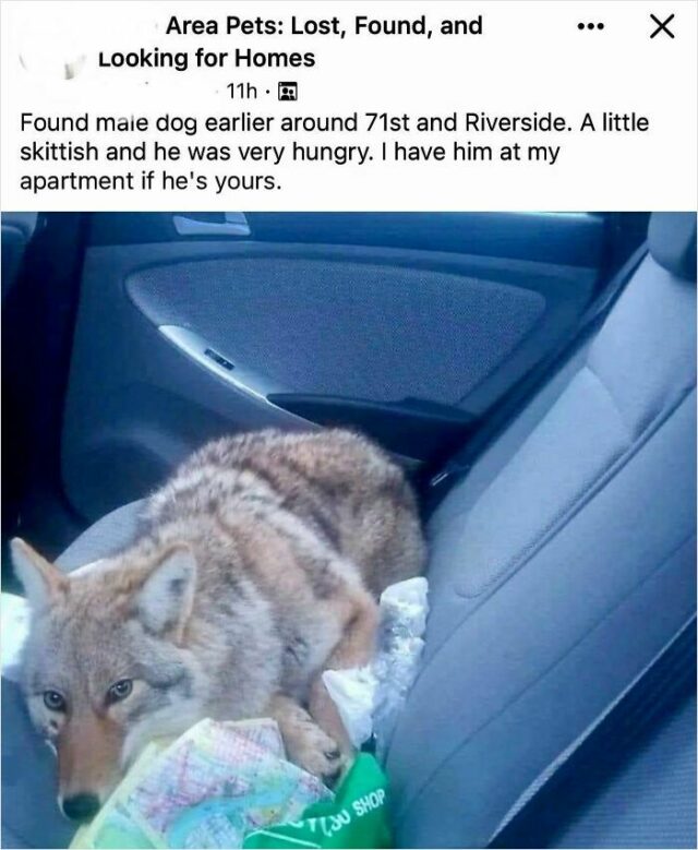 35 Times People Wondered How Someone So Clueless Was Still Alive | DeMilked
