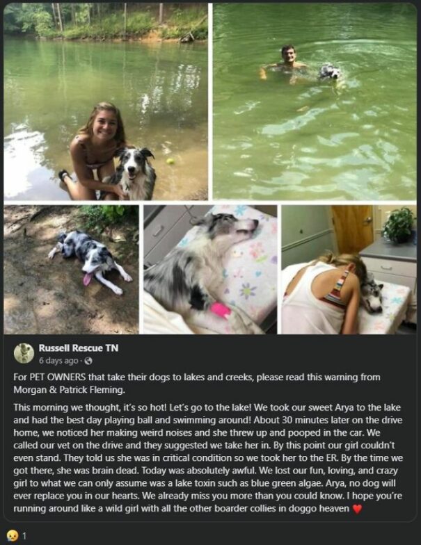 35 Times People Wondered How Someone So Clueless Was Still Alive | DeMilked