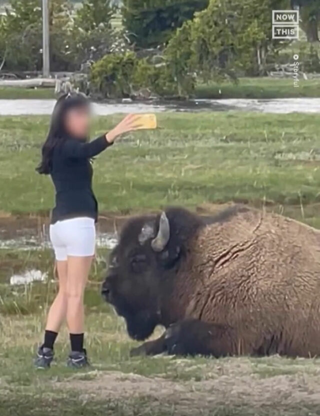 35 Times People Wondered How Someone So Clueless Was Still Alive | DeMilked