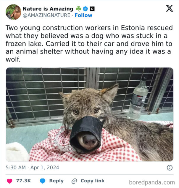 35 Times People Wondered How Someone So Clueless Was Still Alive | DeMilked