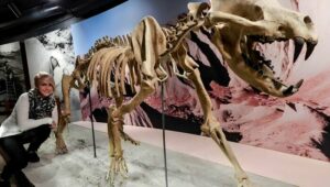 35 Intriguing Photos & Illustrations Of Extinct Creatures That Once ...