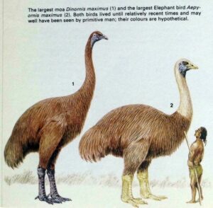35 Intriguing Photos & Illustrations Of Extinct Creatures That Once ...