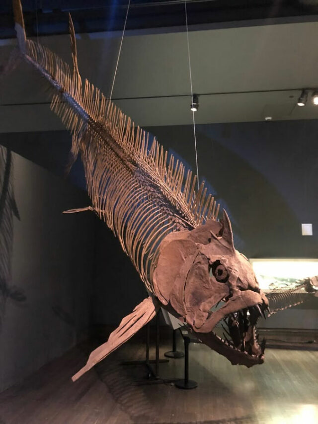 35 Intriguing Photos & Illustrations Of Extinct Creatures That Once ...