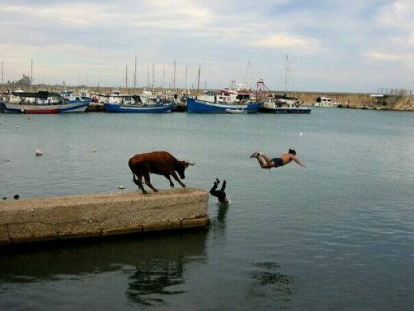 25 Perfectly Timed Funny Photos Snapped In The Split Second Before ...