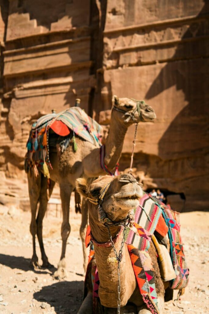 25 Interesting Facts About Countries That Sound Fake But Are True ...