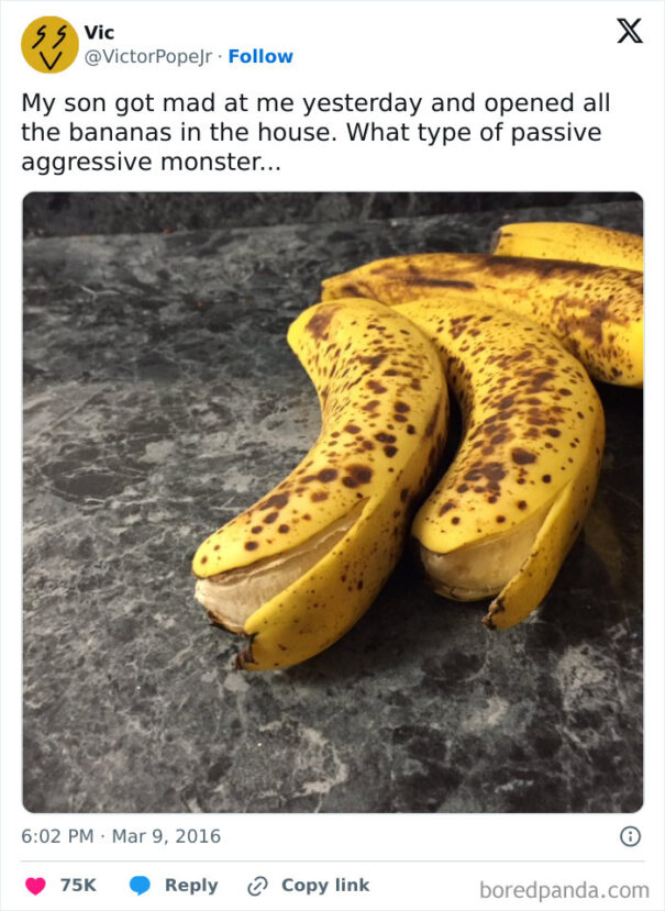 25 Simple Petty Revenge Stories That Are Wholly Satisfying | DeMilked