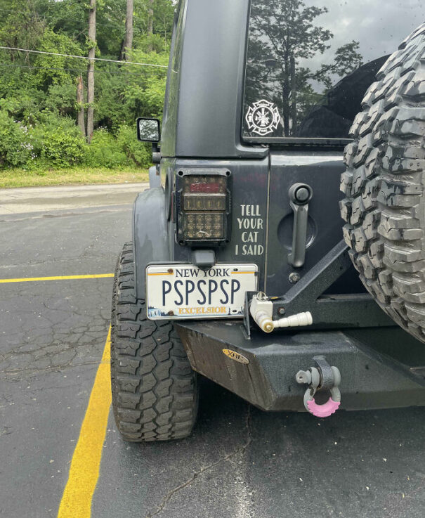 25 Unique Vanity Plates That Made Traffic Slightly More Bearable | DeMilked
