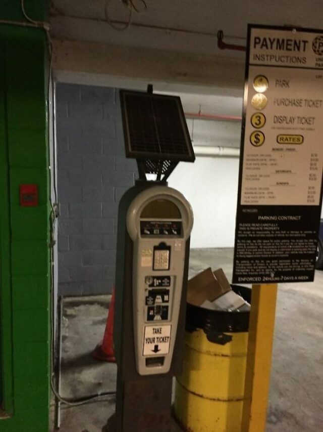 25 Photos Of Pointless Things That Are Chaotically Entertaining | DeMilked