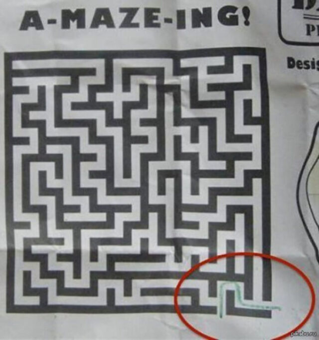 25 Photos Of Pointless Things That Are Chaotically Entertaining | DeMilked