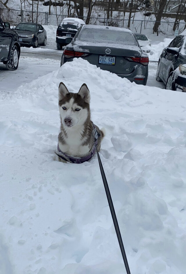 America Is Doubling Down Against A Massive Winter Storm And Here Are 35 ...
