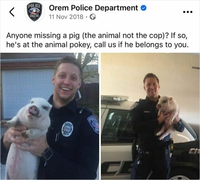 35 Screenshots From Police Departments Pages That Tickled The Internet ...