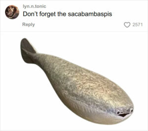 25 Bizarre Scientific Animal Names That Sound Like A Bad Prank | DeMilked