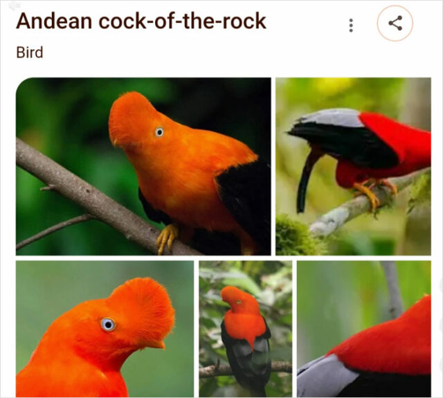 25 Bizarre Scientific Animal Names That Sound Like A Bad Prank | DeMilked