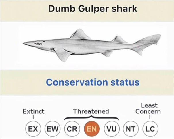 25 Bizarre Scientific Animal Names That Sound Like A Bad Prank | DeMilked