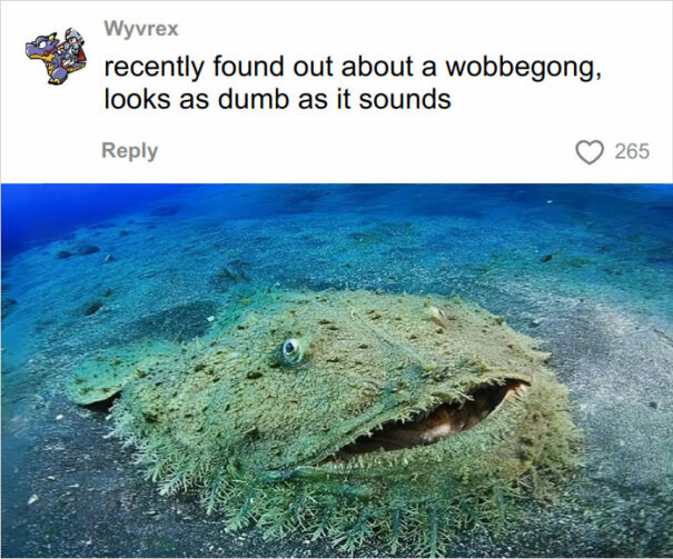 25 Bizarre Scientific Animal Names That Sound Like A Bad Prank | DeMilked