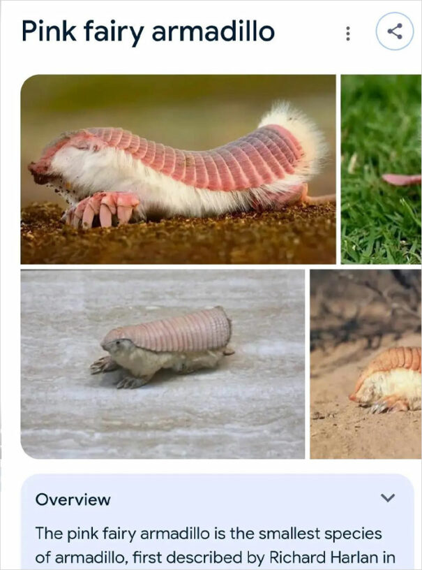 25 Bizarre Scientific Animal Names That Sound Like A Bad Prank | DeMilked