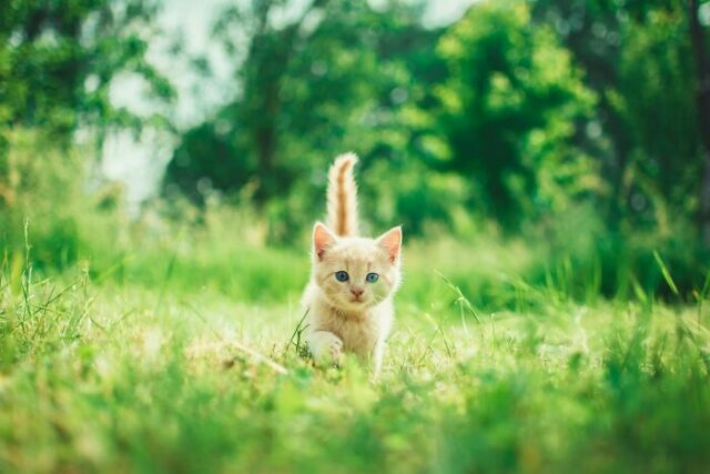 35 Of The Funniest Pet Names Vets Have Heard During A Visit To Their ...
