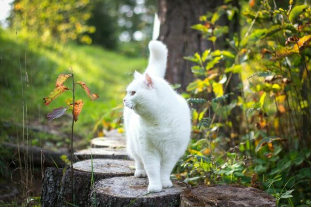 35 Of The Funniest Pet Names Vets Have Heard During A Visit To Their ...