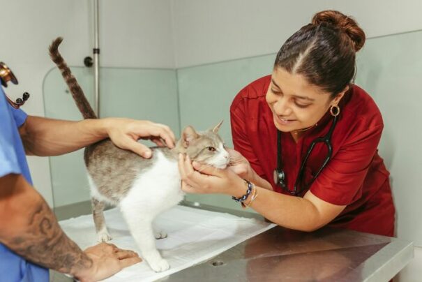 35 Of The Funniest Pet Names Vets Have Heard During A Visit To Their ...
