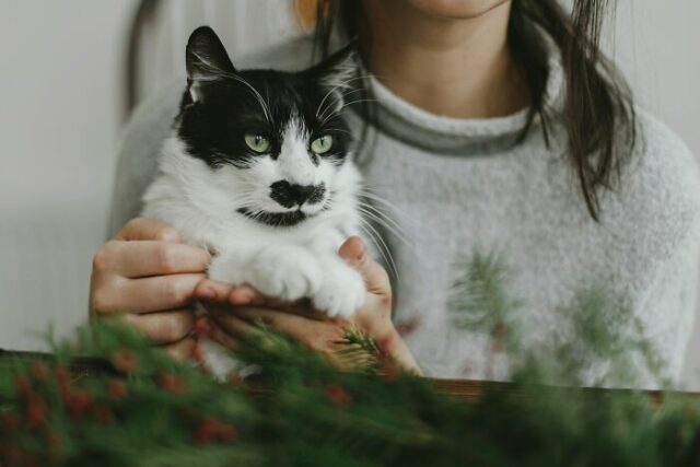 35 Of The Funniest Pet Names Vets Have Heard During A Visit To Their ...